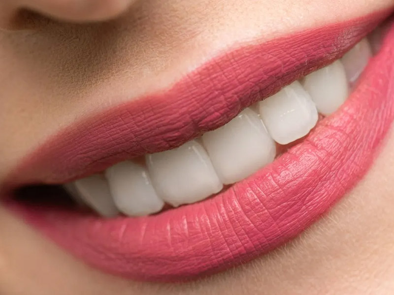 Get to Know Your Teeth